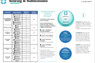 Maturity Matrix FAQ - Investing in Ethnicity | Racial equity and ethnic ...